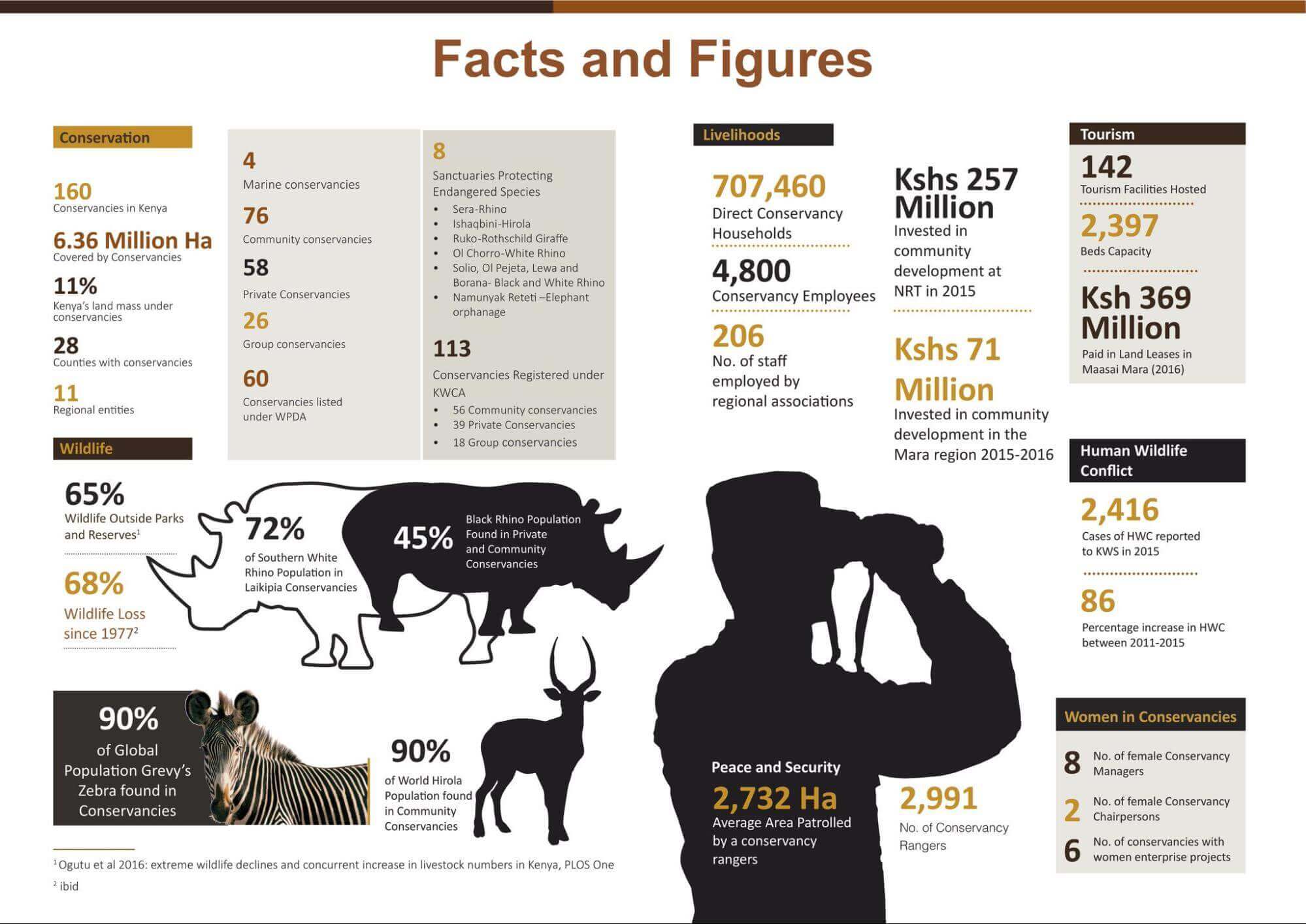 5 Things to Learn from Wildlife Conservation in Kenya